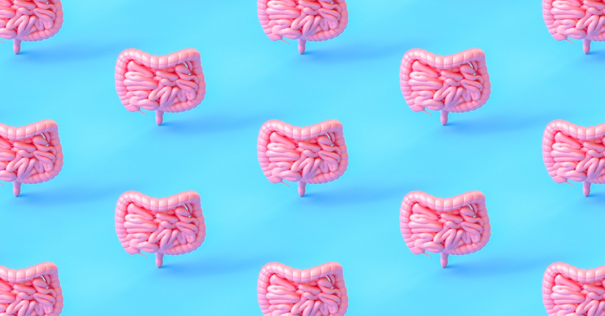 what a healthy gut looks like. | MD Live